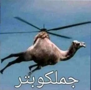 camello tactico 🤑🤑 | HoYoLAB