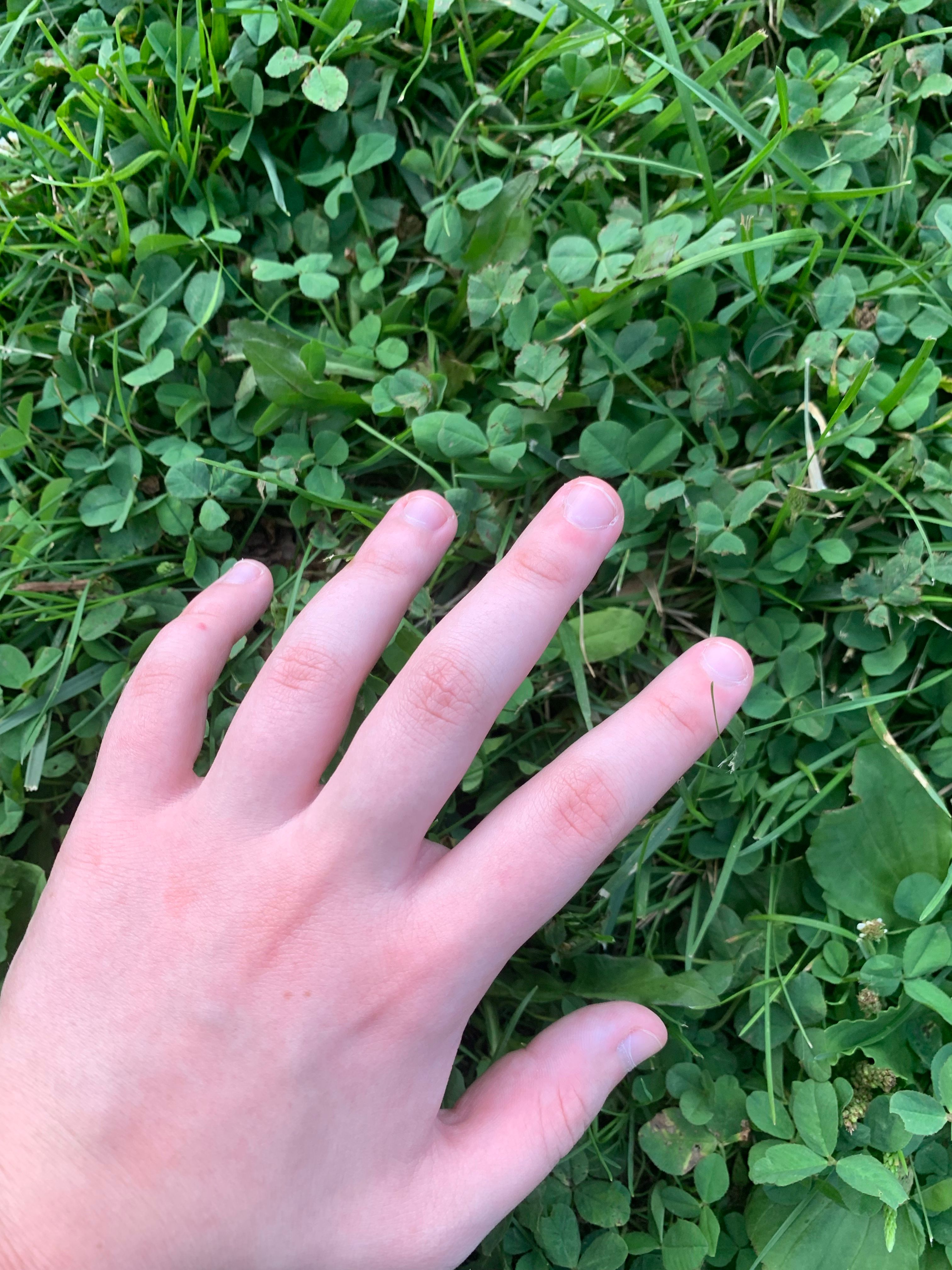 guys look im touching grass😦 | HoYoLAB