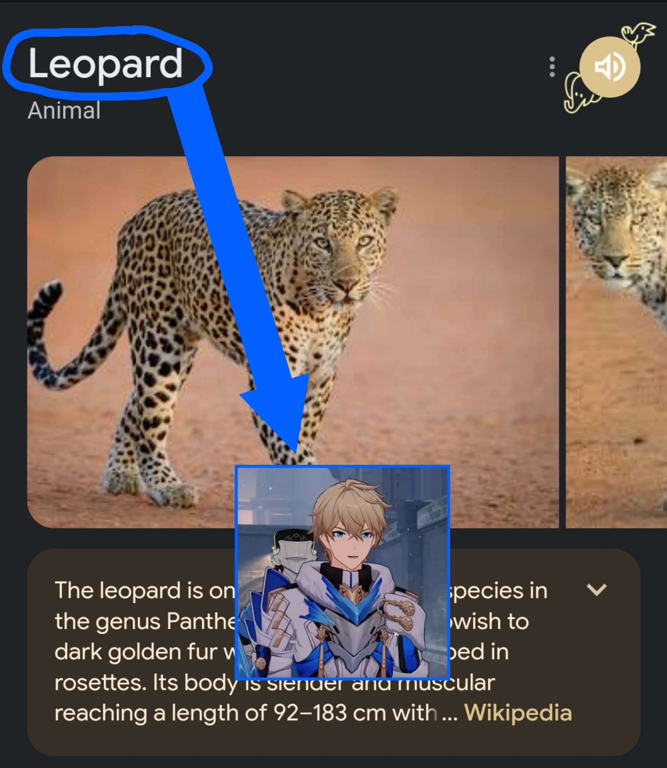 Gepard Name Soundalikes meme Honkai: Star Rail | HoYoLAB