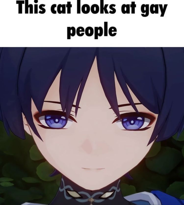 scaramouche memes + controversial opinion maybe in desc Genshin Impact ...