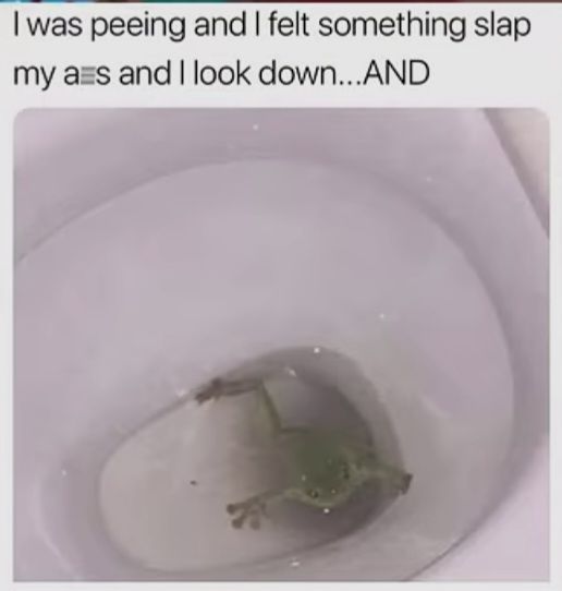 Non-related memes | HoYoLAB