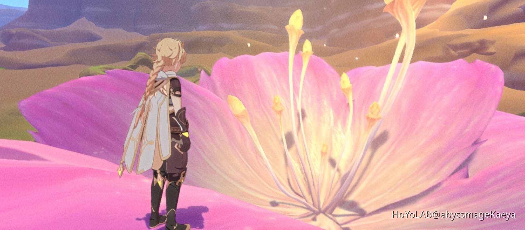 Pretty pink flower Genshin Impact | HoYoLAB