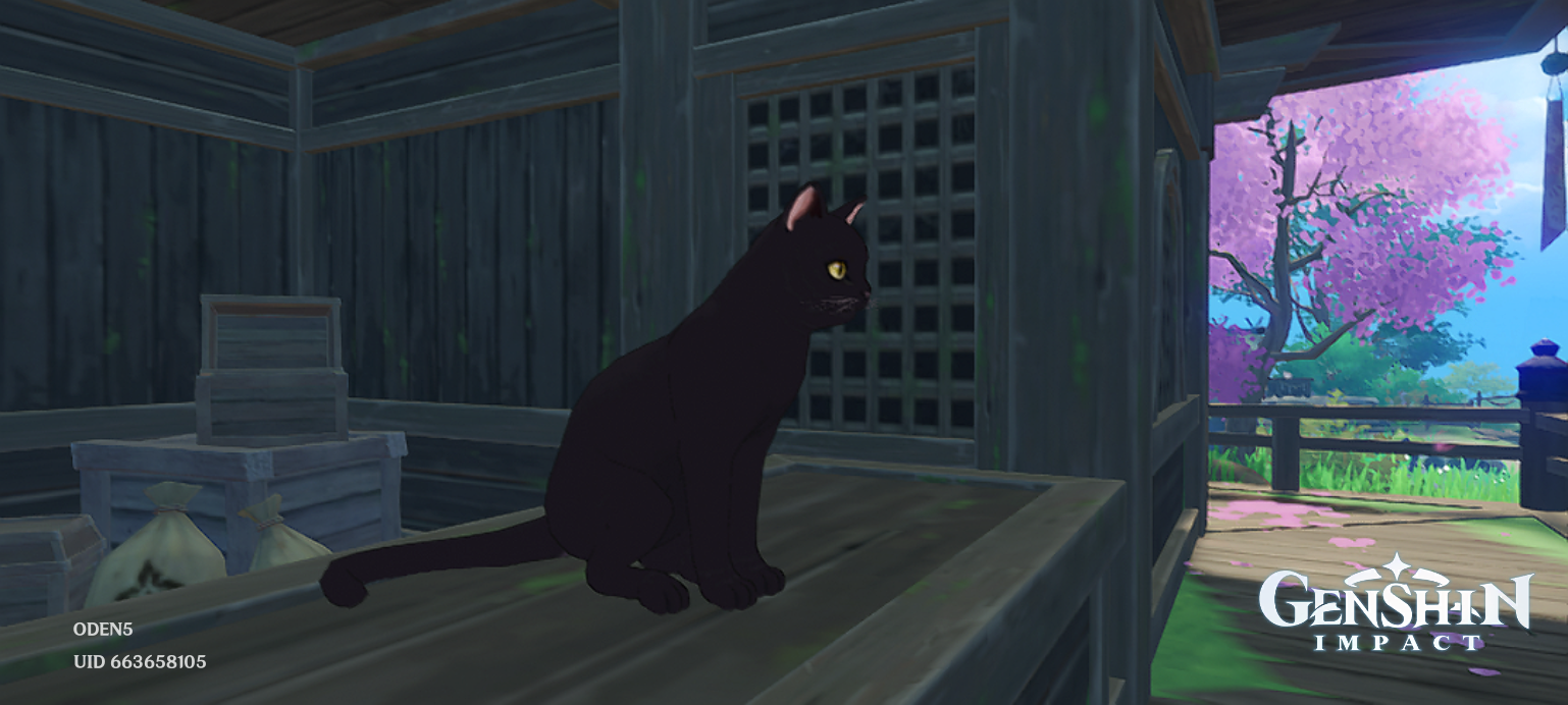 Neko from both sides Genshin Impact | HoYoLAB