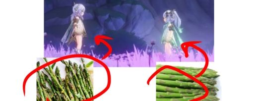 Nahida looks cooked Genshin Impact | HoYoLAB