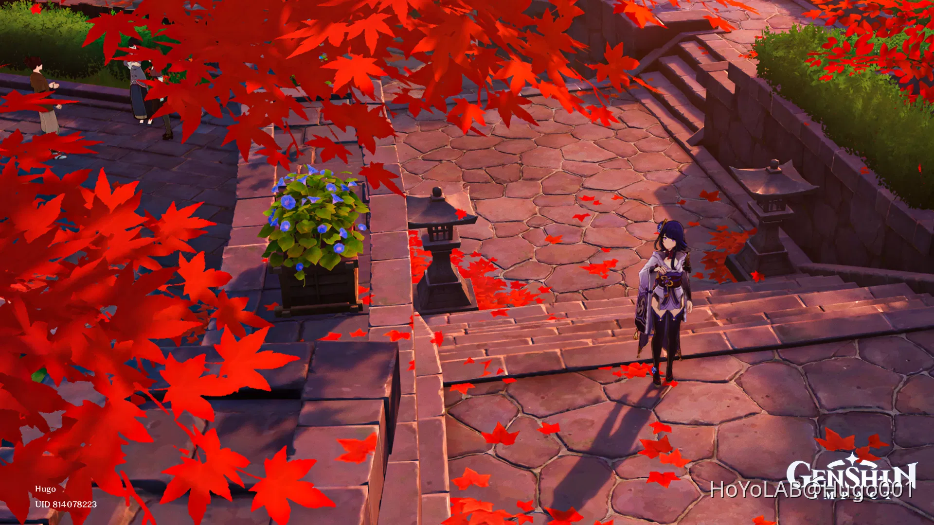 Eiden Rai Genshin Impact | HoYoLAB