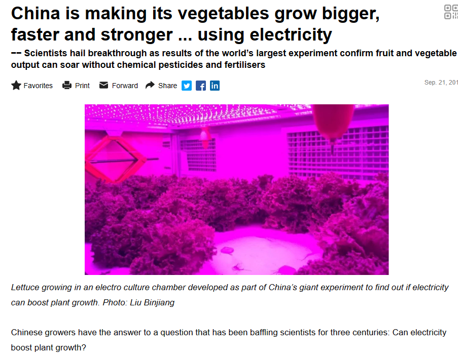 Hyperbloom or Aggravate? Genshin Impact | HoYoLAB