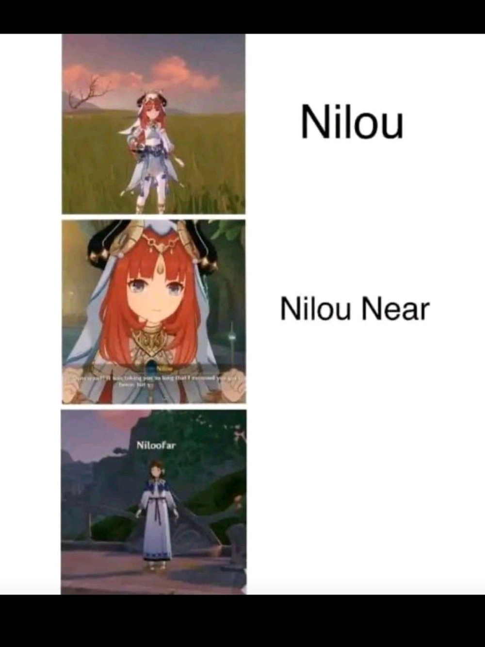 Memes cuz I’m saving my primogems Genshin Impact | HoYoLAB