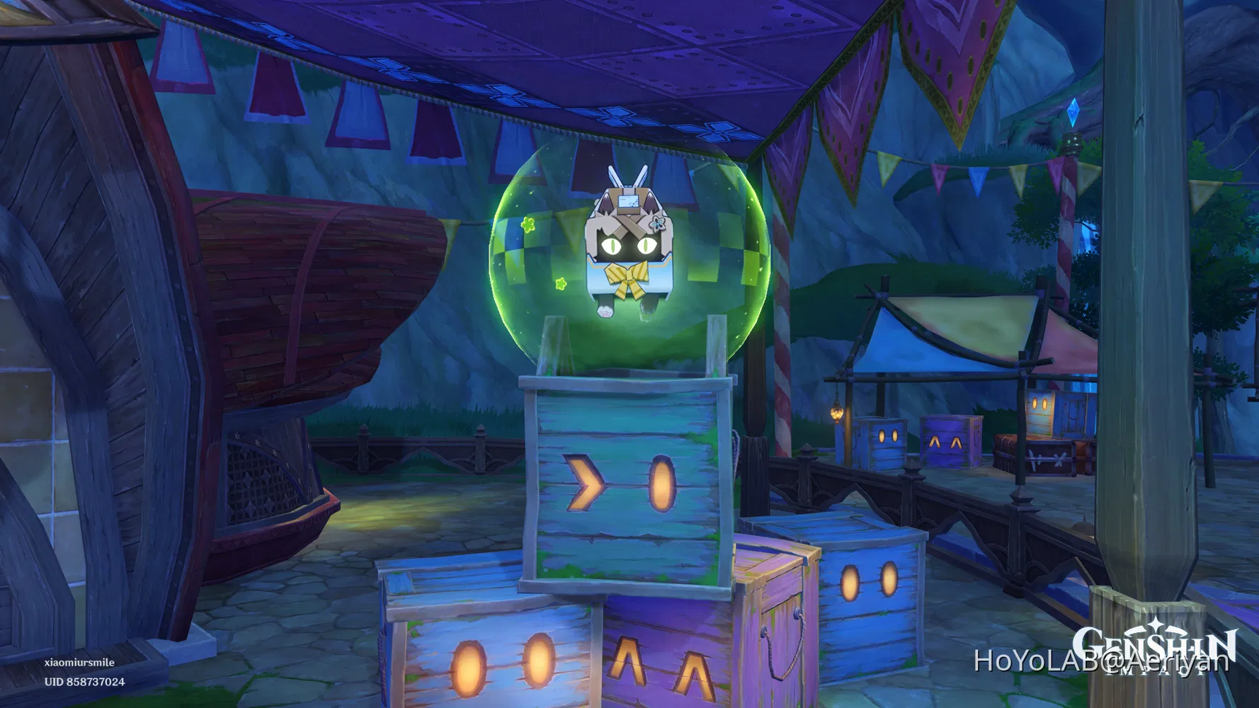 Kirara Queen of Boxes Genshin Impact | HoYoLAB