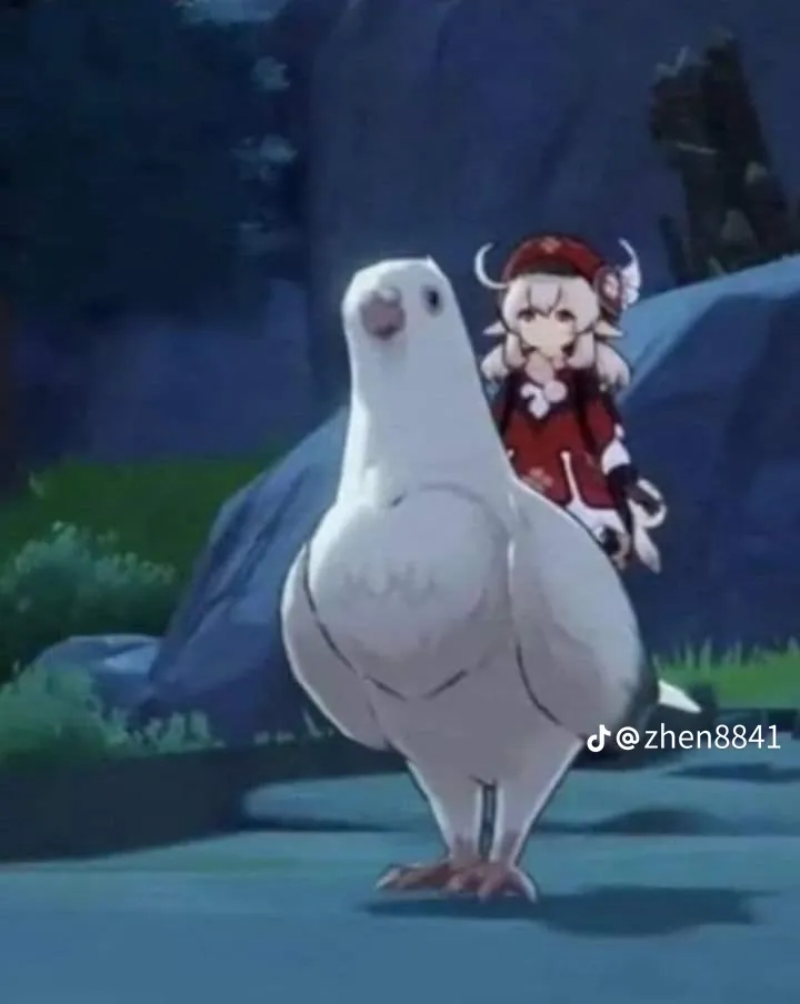 Funny Moments in Genshin Genshin Impact | HoYoLAB