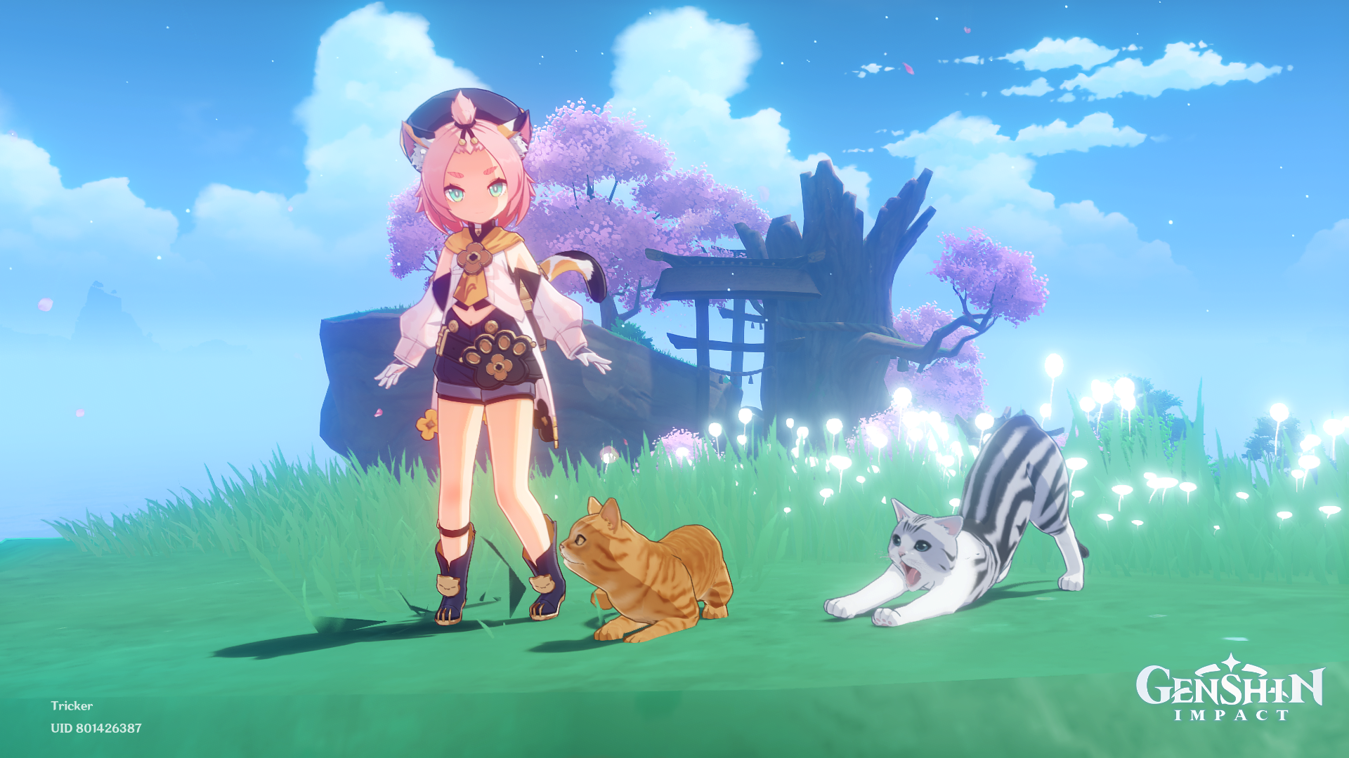 Meow Meow :3 Genshin Impact | HoYoLAB