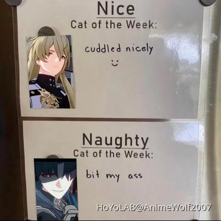 Welt and Luocha memes. Mostly Welt Honkai: Star Rail | HoYoLAB