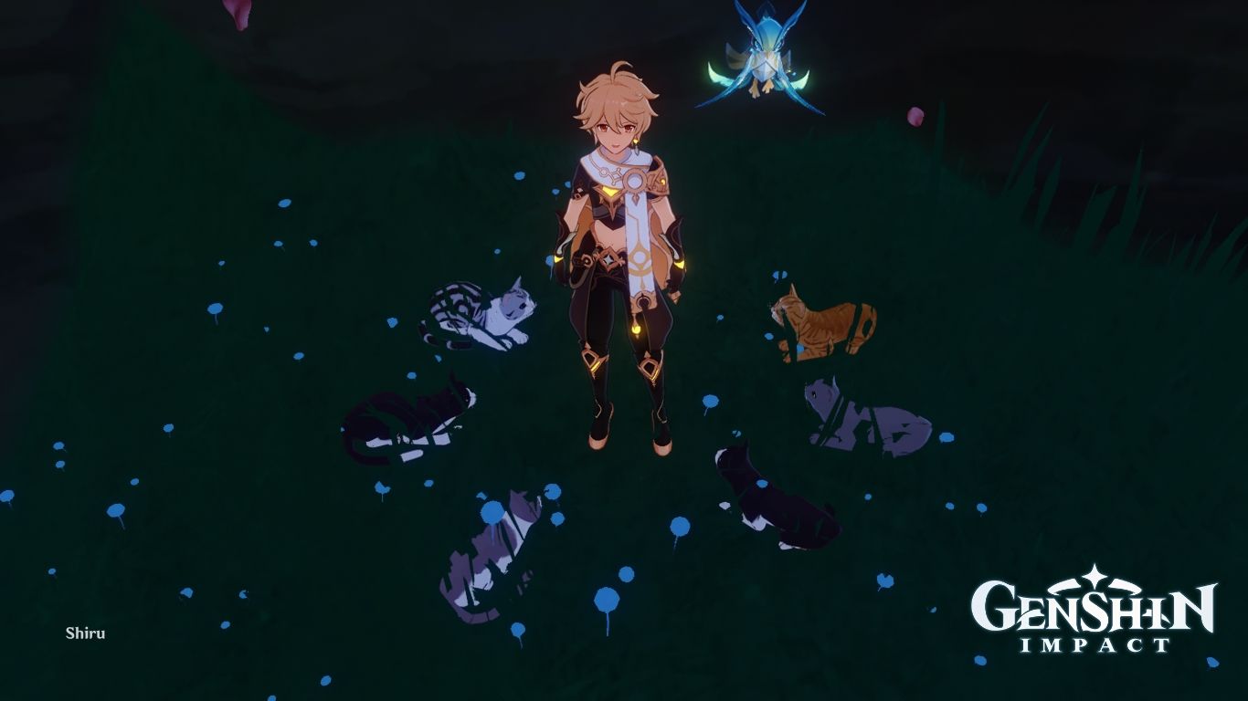 Cats like Aether, Aether likes cats Genshin Impact | HoYoLAB