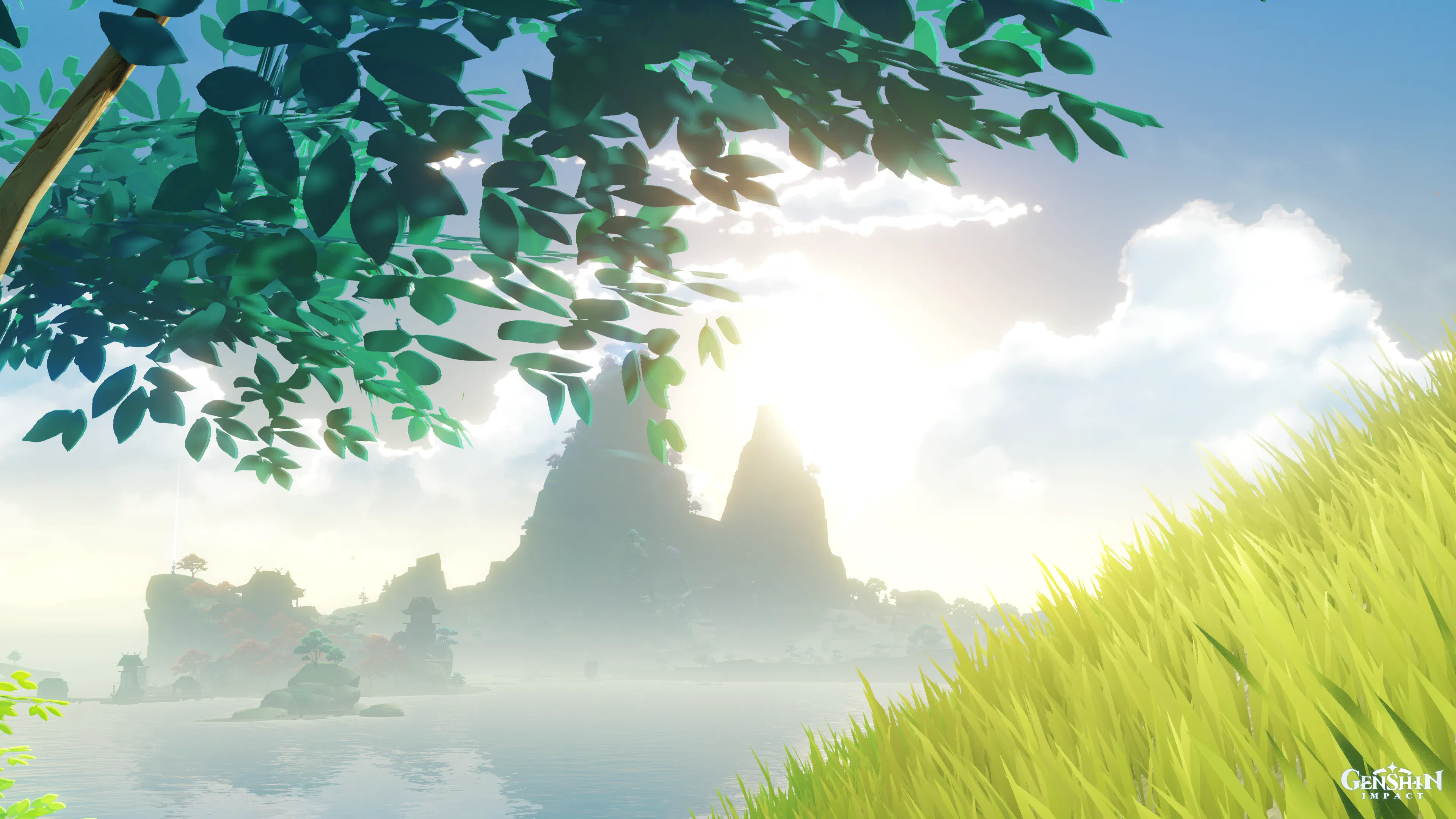 Sunlight Through the Trees | Teyvat Photography Inazuma Series Genshin ...