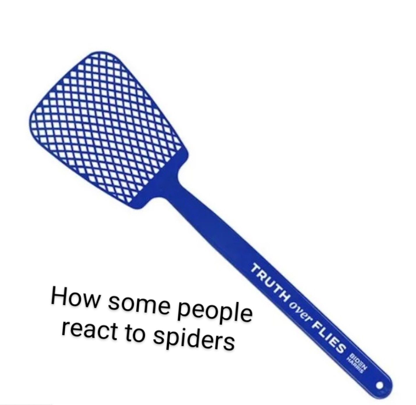 I respect spiders | HoYoLAB