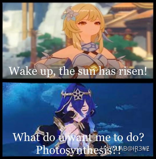 I made this meme 🌱☀️#1 Genshin Impact | HoYoLAB