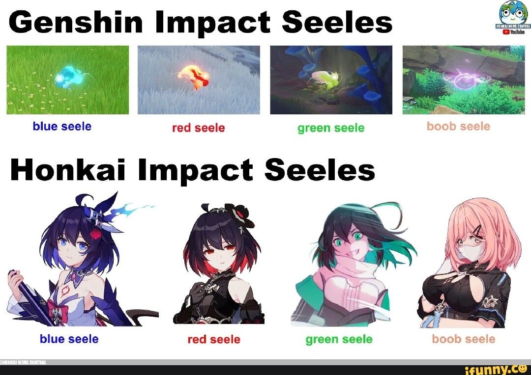 Honkai impact 3rd memes(short) Honkai Impact 3rd | HoYoLAB