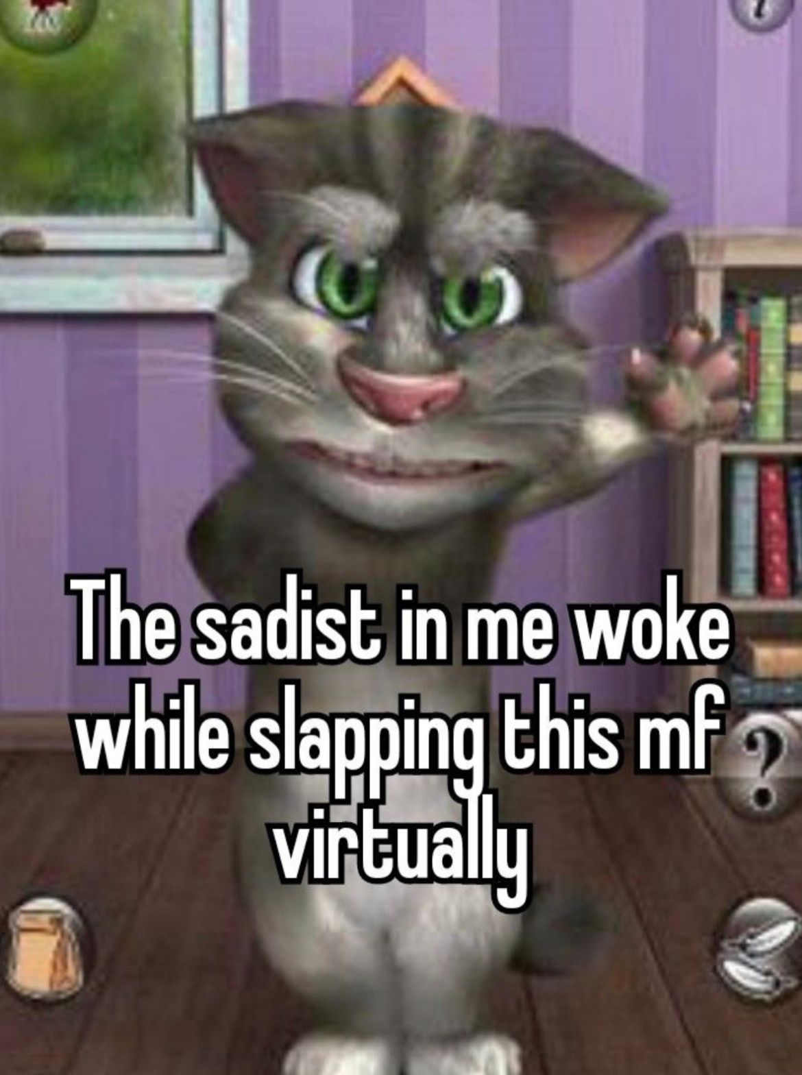 my taste of memes | HoYoLAB