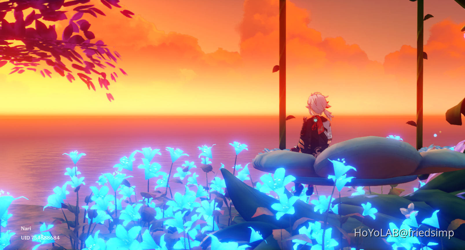 sunsets in genshin are mesmerizing Genshin Impact | HoYoLAB