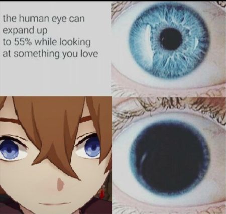 Childe memes Genshin Impact | HoYoLAB