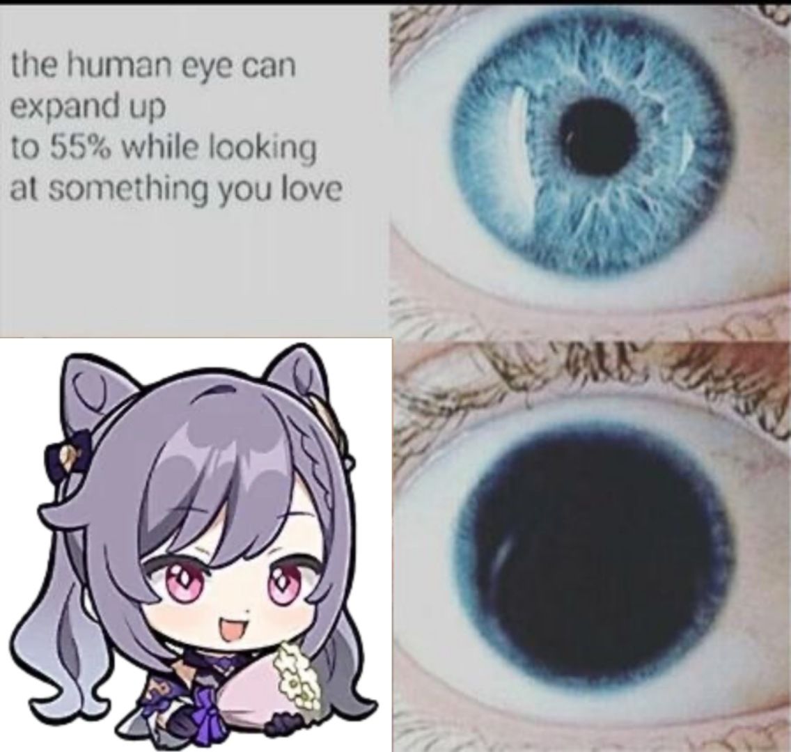 I ️ Keqing Genshin Impact | HoYoLAB