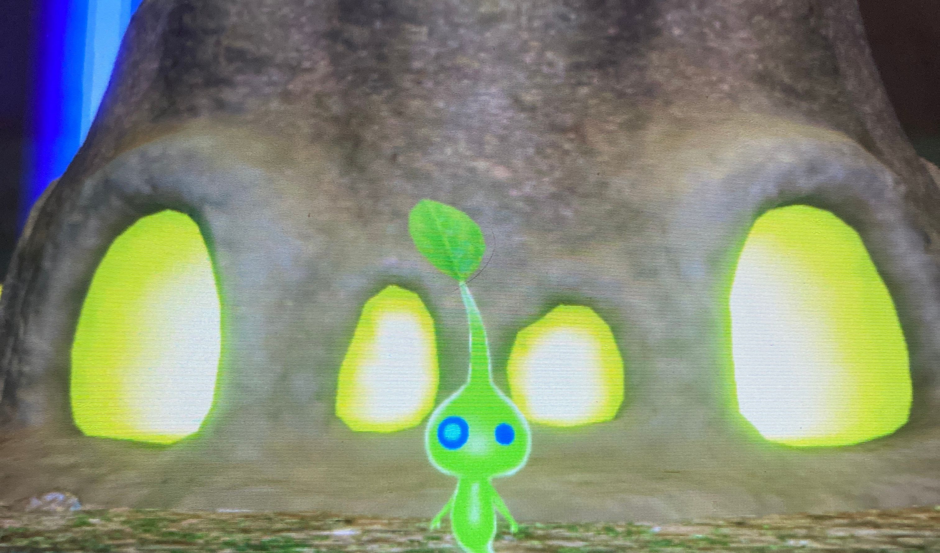 GREEN BEBE | HoYoLAB