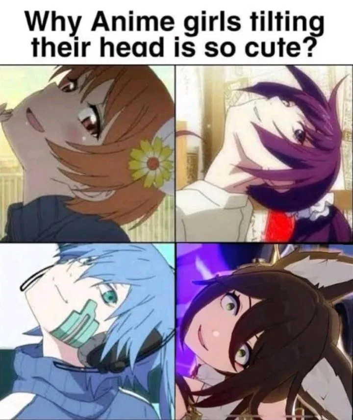 part 5 of: HSR memes Honkai: Star Rail | HoYoLAB