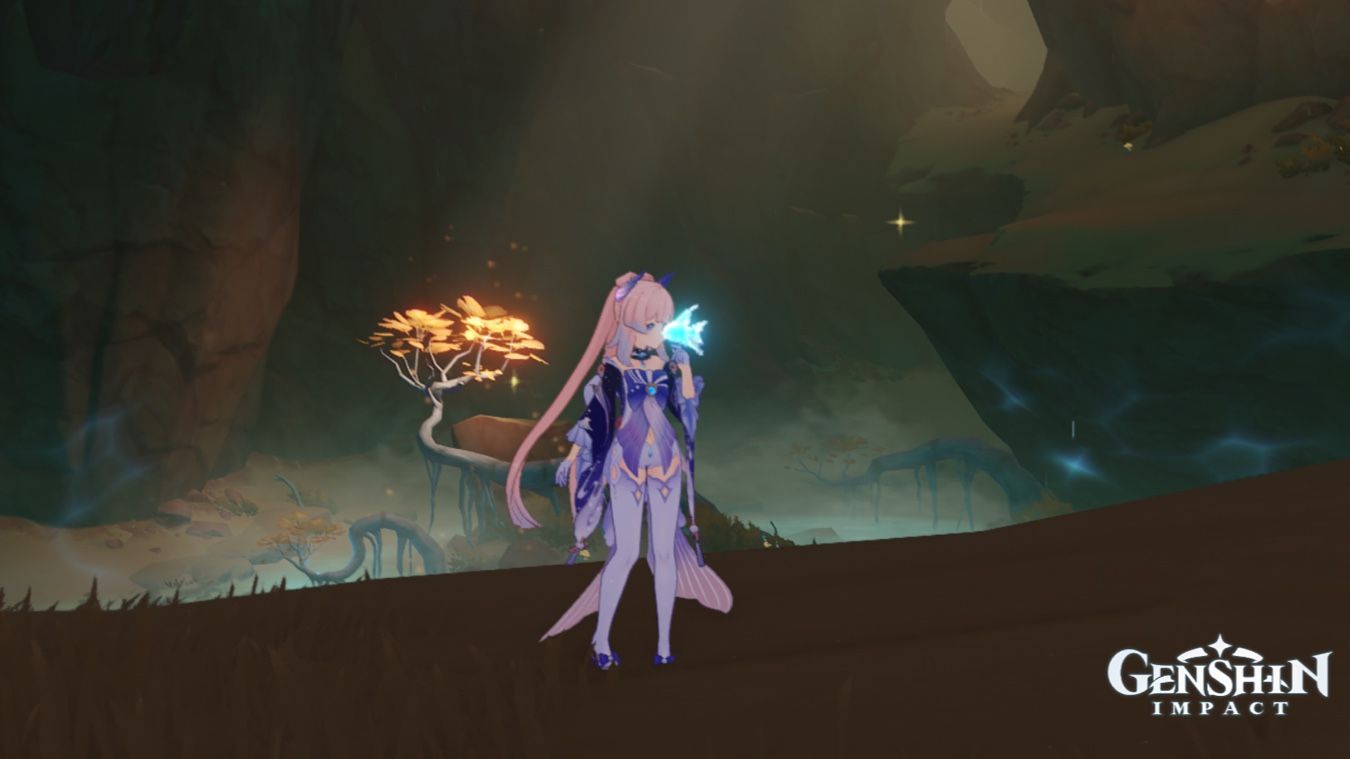 Glowing Tree in Desert Genshin Impact | HoYoLAB