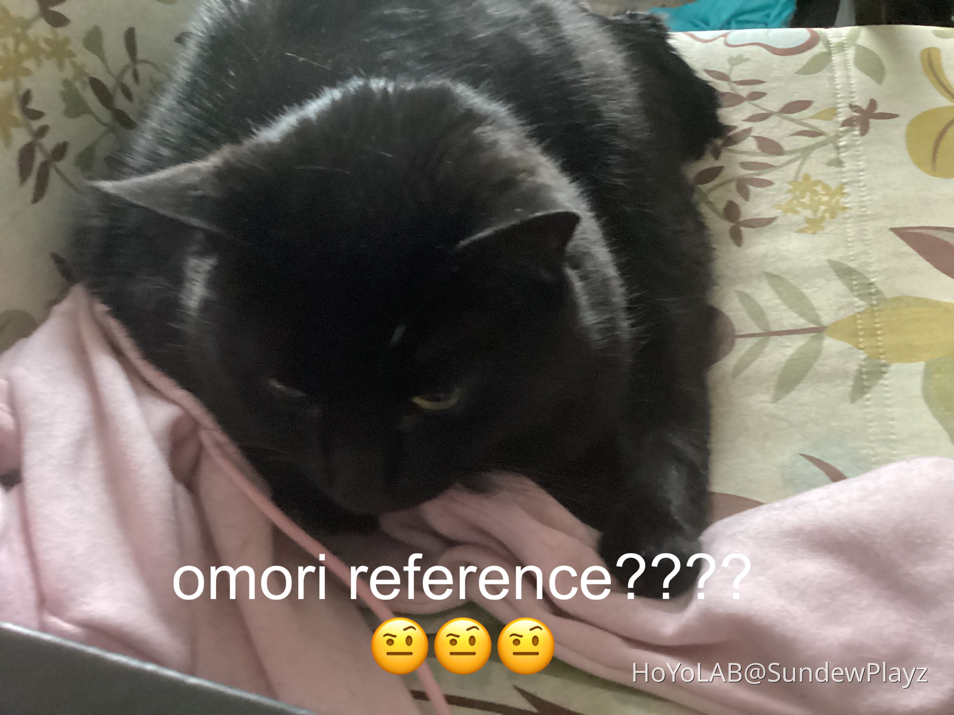 omori reference??? | HoYoLAB