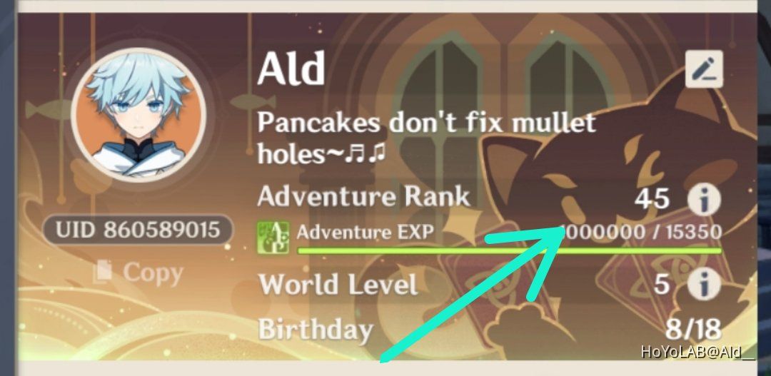 How far do you think this much EXP will bring me? | HoYoLAB