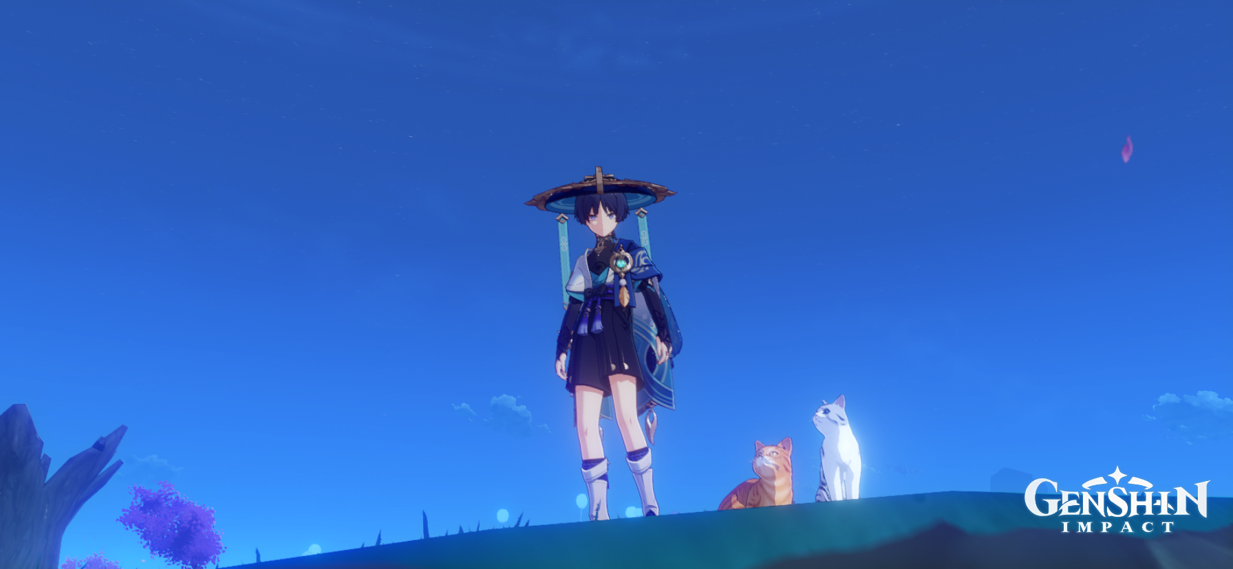 Wanderer and cats Genshin Impact | HoYoLAB