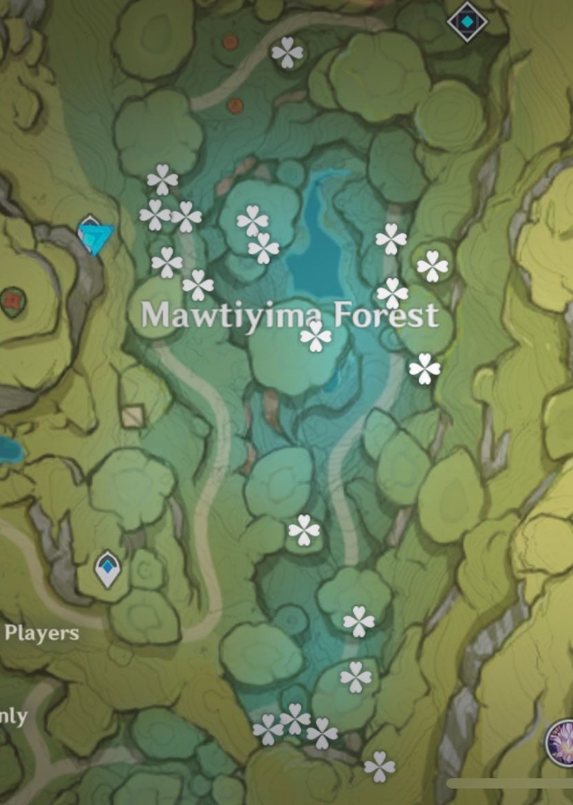 Version 3.8 Strategy Guide: Mawtiyima Forest: Rukkhashava Mushroom ...