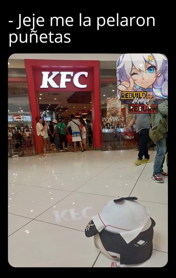 The bravest chicken in the world. Honkai Impact 3rd | HoYoLAB