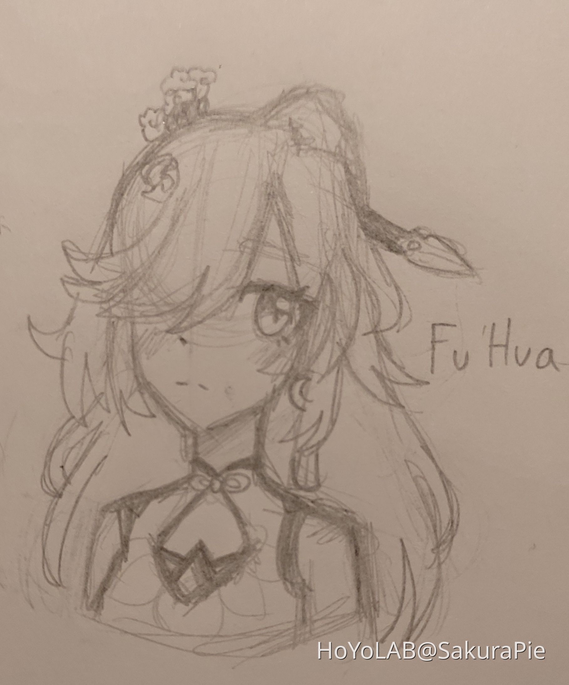 Messy Fu Hua Sketch Honkai Impact 3rd | HoYoLAB