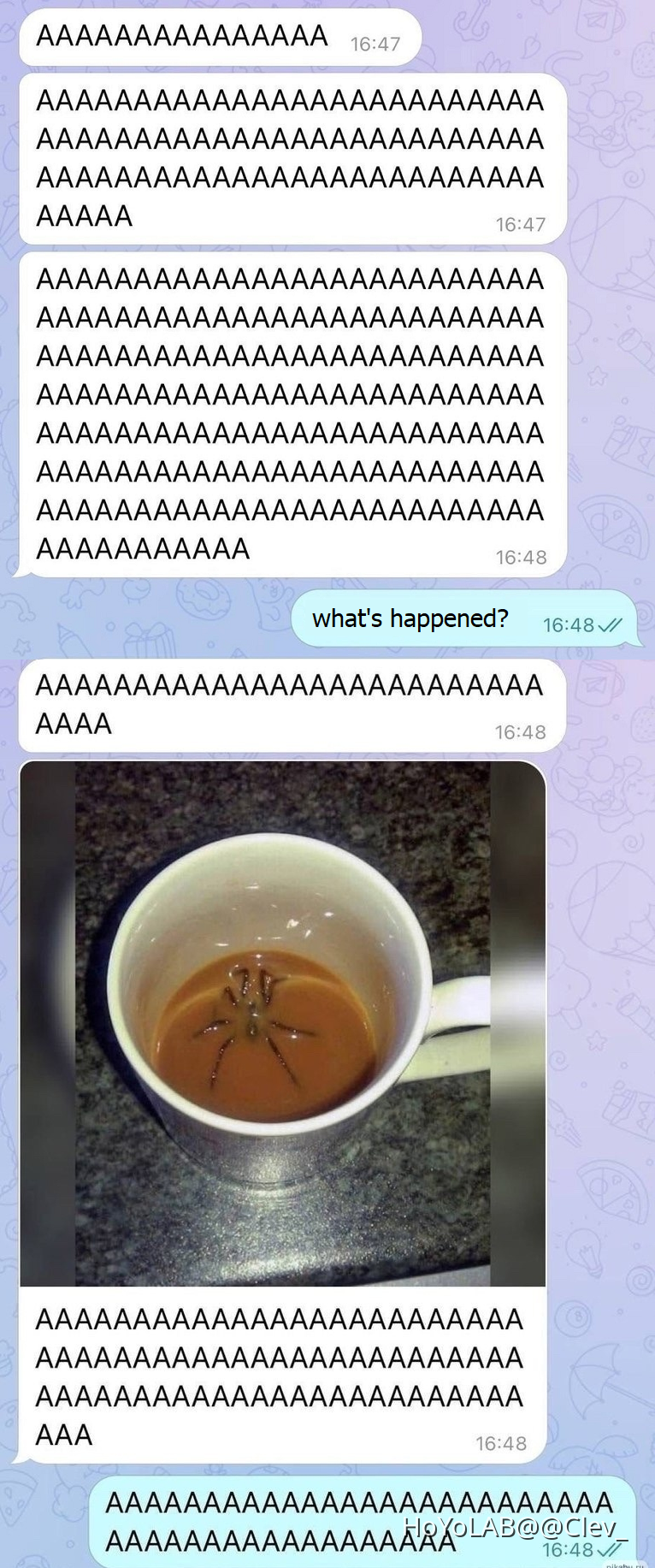 AAAAAAAAAAAAAAAAAAAAAAAAAAAAAAAAAAAAAAAAAAAAAAAAAAAA | HoYoLAB