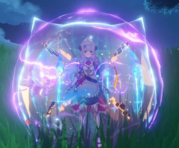 Ahem....Behold! The ULTIMATE UNBREAKABLE SHEILD OF TEVAT!! Genshin ...