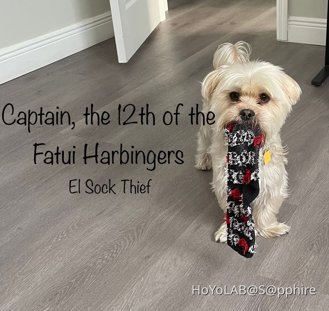 Captain, The 12th Fatui Harbinger~• Genshin Impact | HoYoLAB