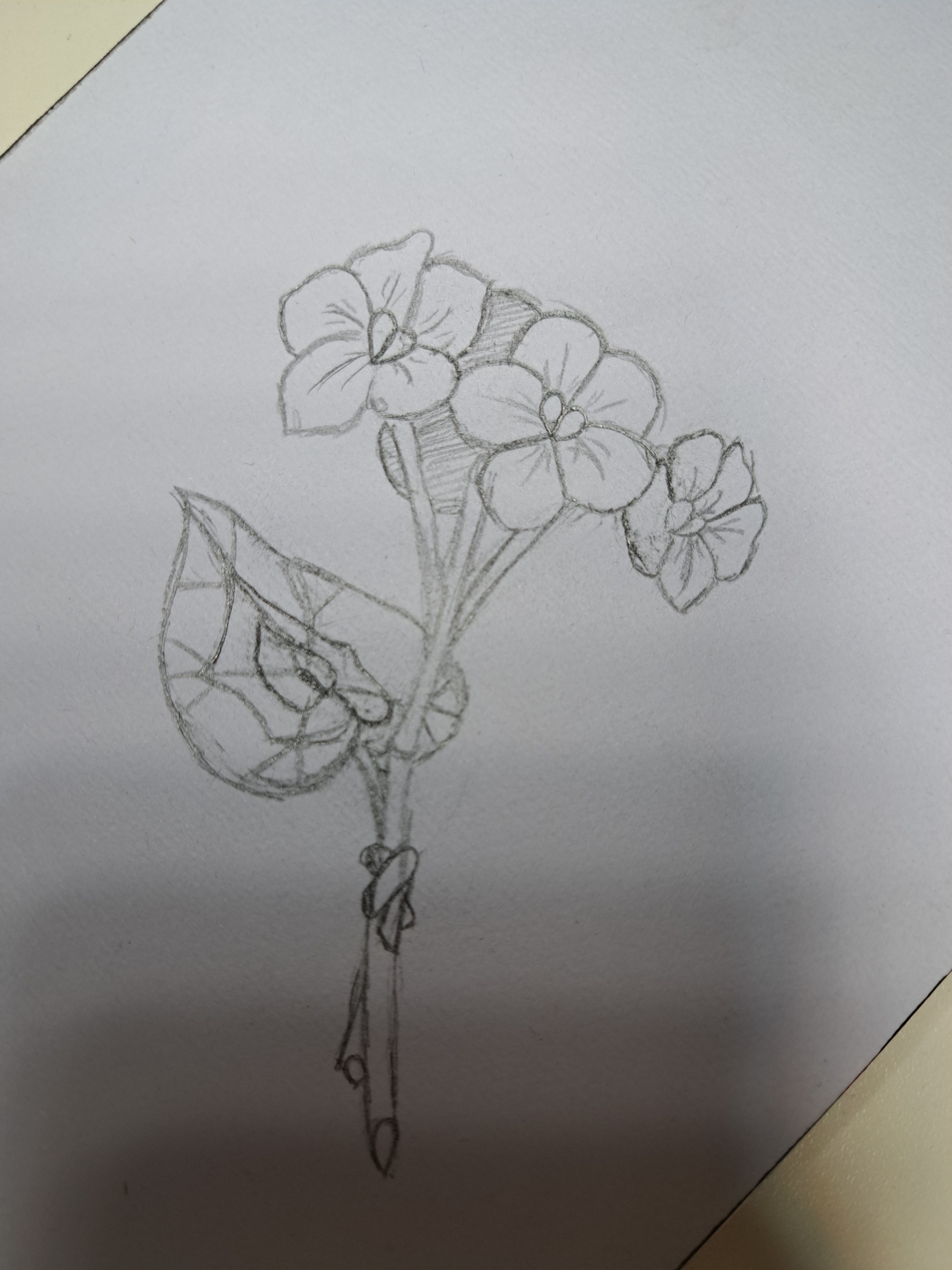 Genshin flowers Genshin Impact | HoYoLAB