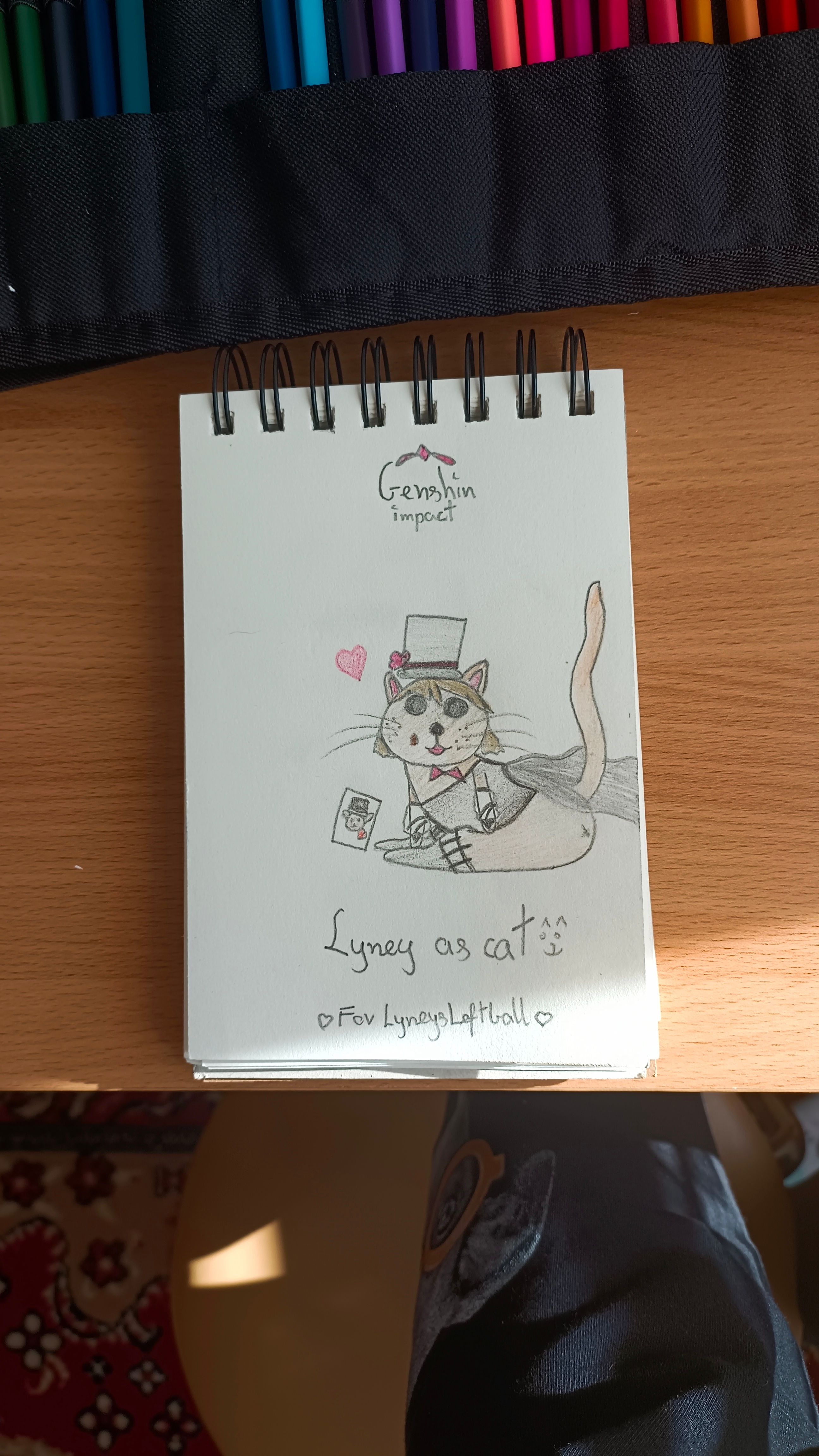 Lyney as cat for LyneysLeftball Genshin Impact | HoYoLAB