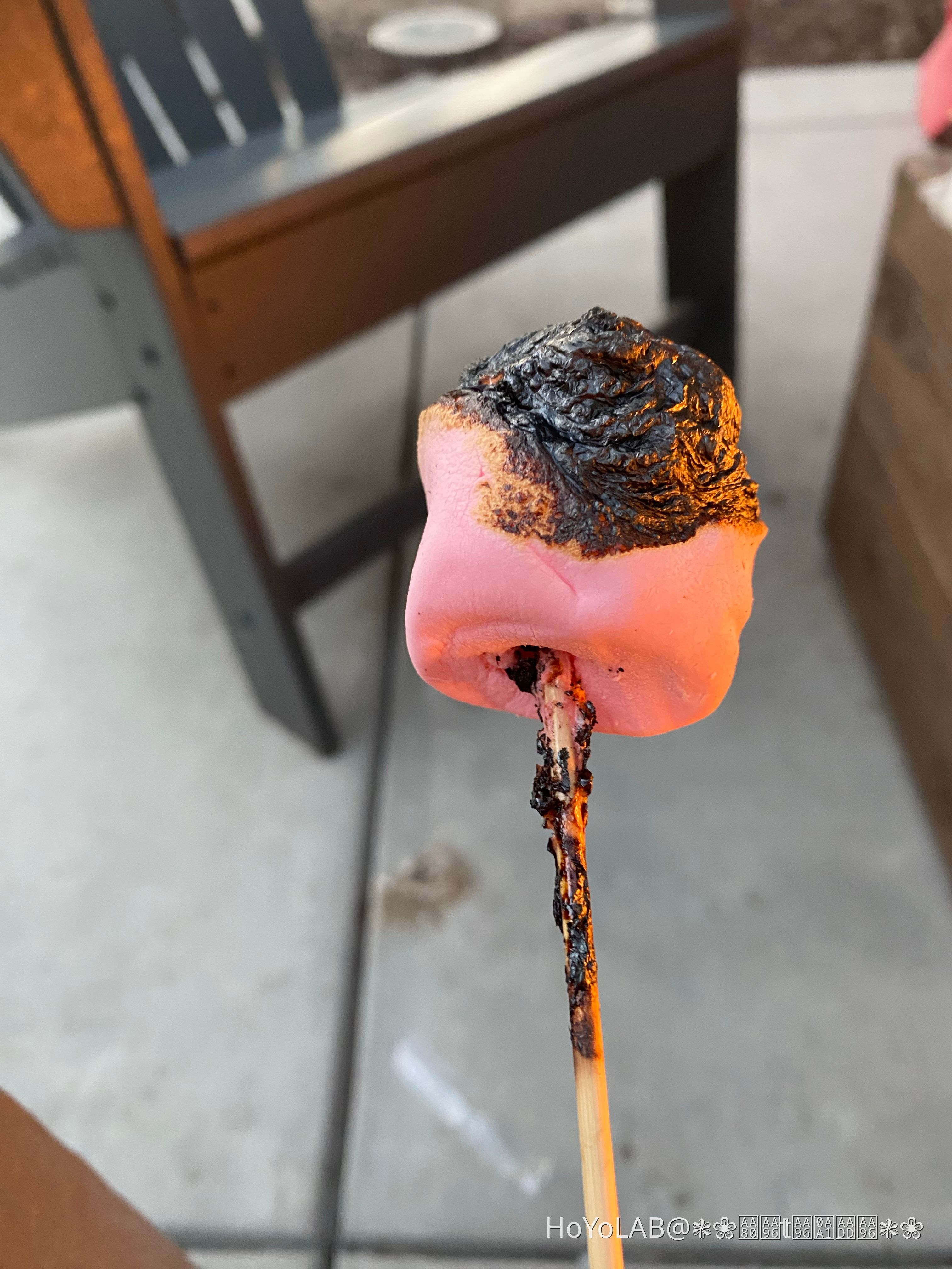 I burnt my marshmallow 🥺🥺🥺 | HoYoLAB