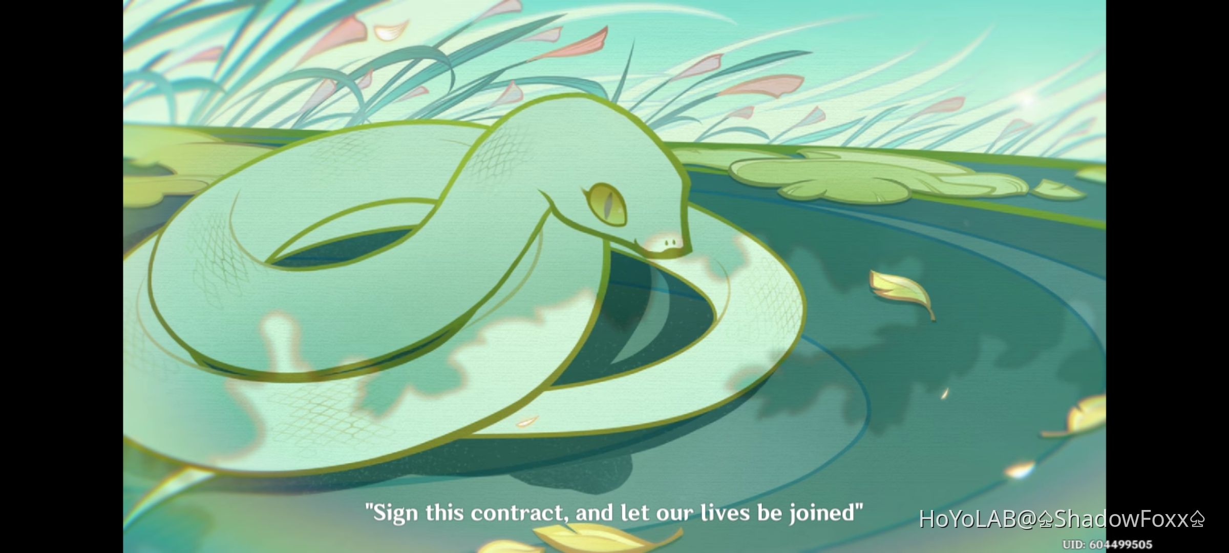 Changsheng Genshin Impact | HoYoLAB