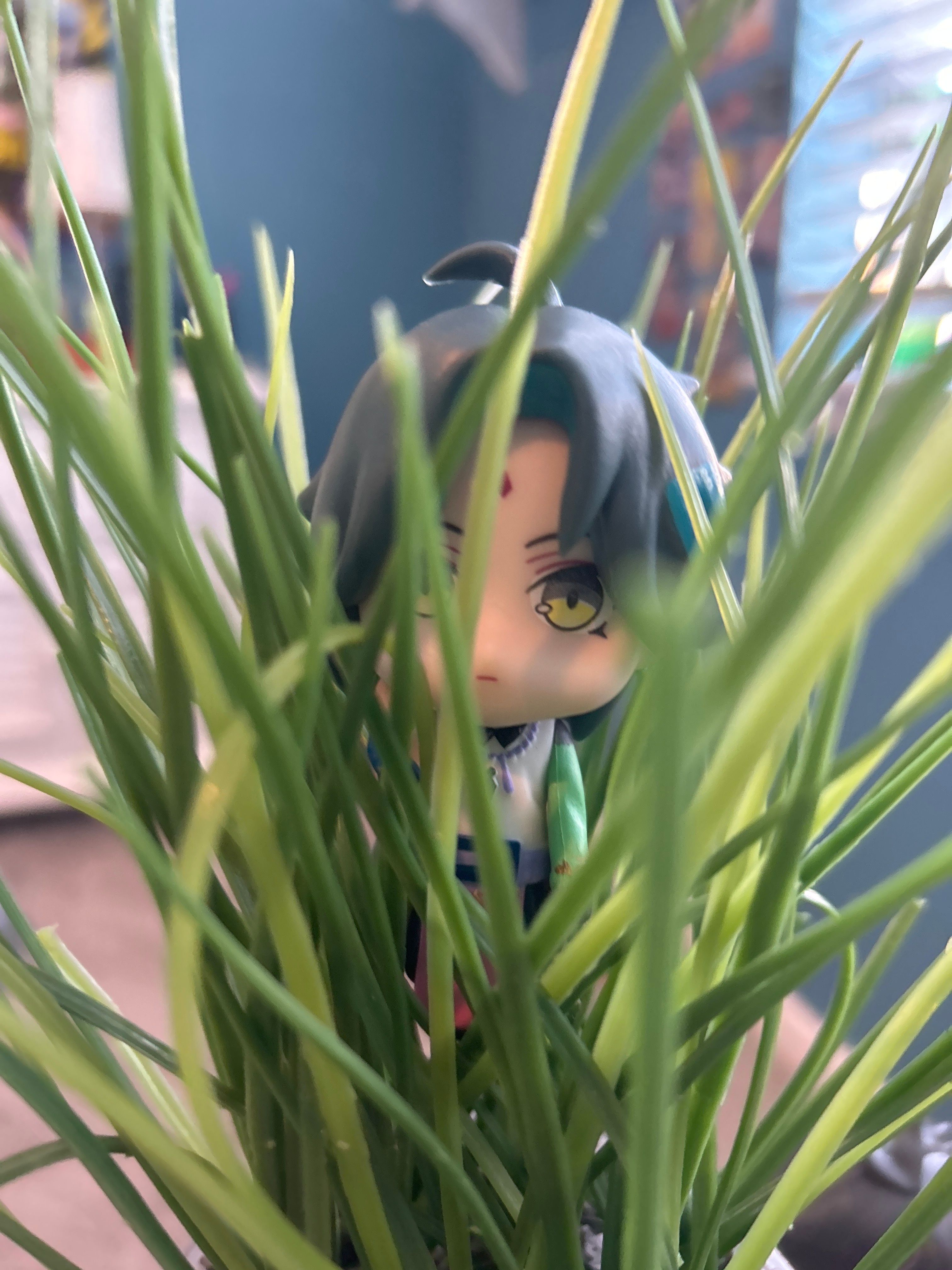 Xiao in a plant Genshin Impact | HoYoLAB