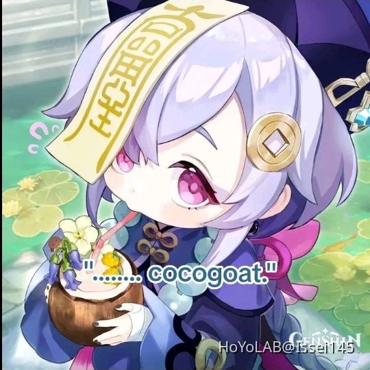 coco goat Genshin Impact | HoYoLAB