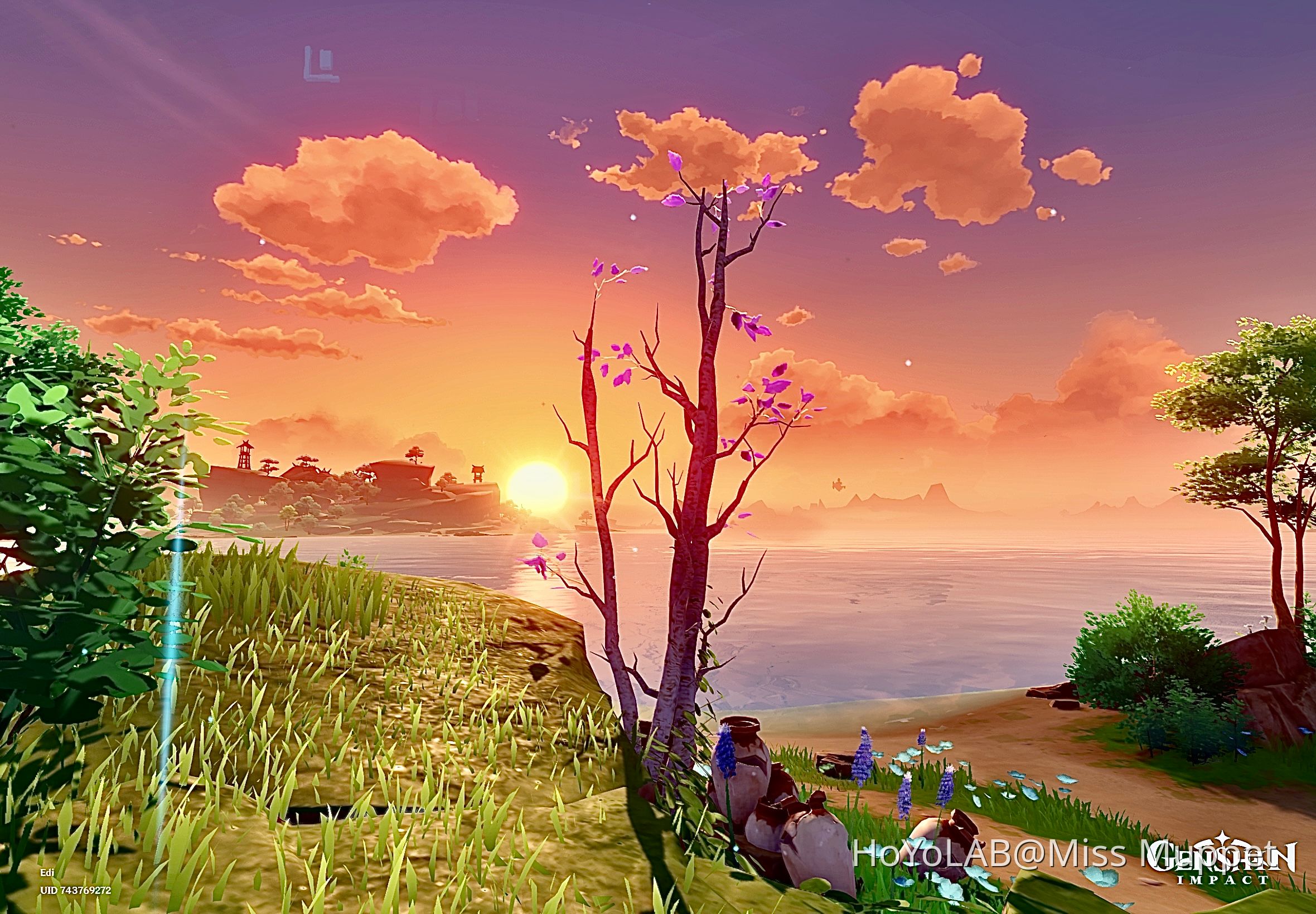 Sunset in Inazuma Genshin Impact | HoYoLAB