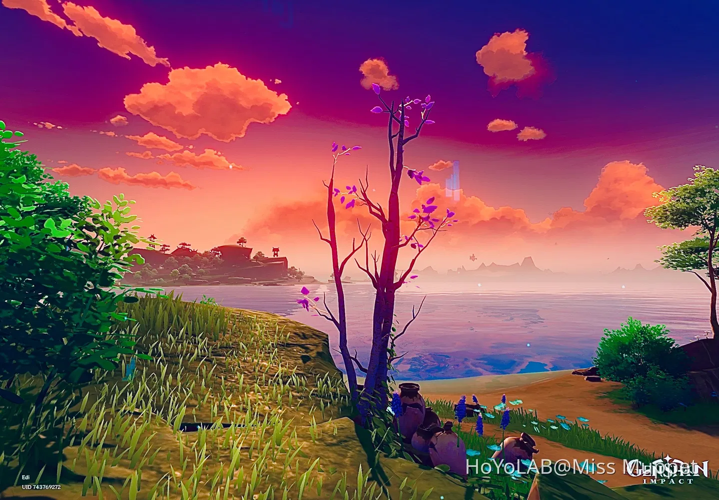 Sunset in Inazuma Genshin Impact | HoYoLAB