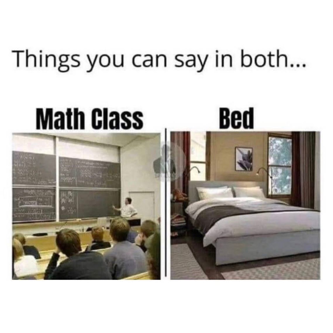 Meme of the Day: Question Edition | HoYoLAB