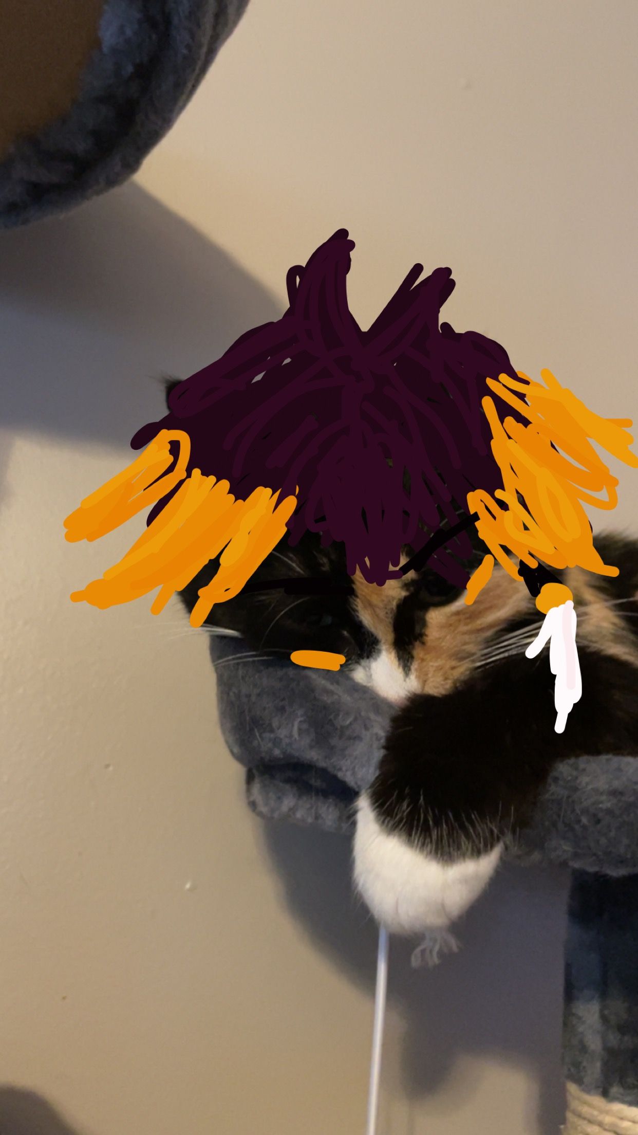Zhongmeow (Zhongli but cat obv) Genshin Impact | HoYoLAB