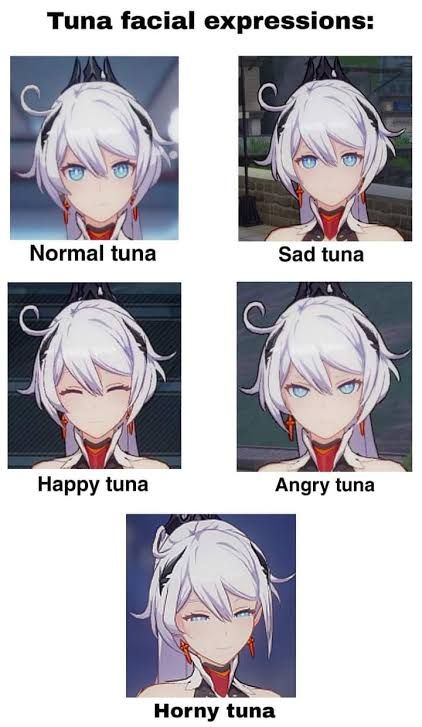 Tuna 5 Honkai Impact 3rd | HoYoLAB