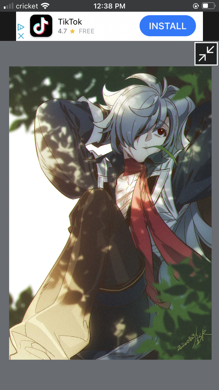 Last Switch Ups: Angel eyed Scara/Blood Art Assassin Cidd💞 Genshin ...