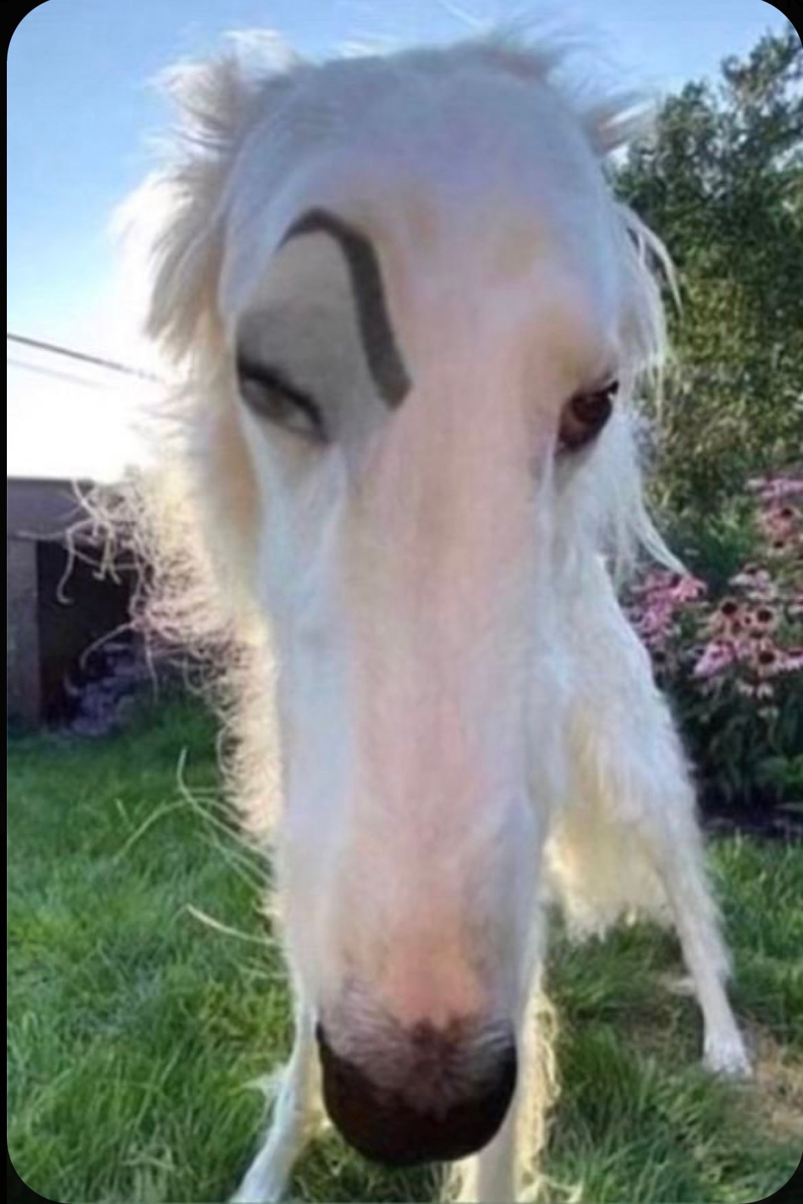 What is your best rizz ??🤭 Genshin Impact | HoYoLAB