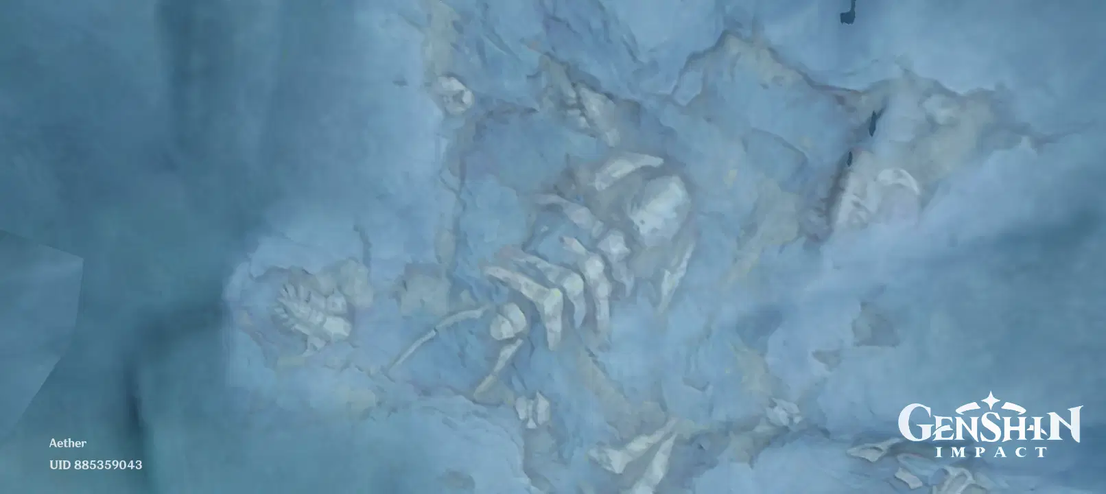 The Last Stange Stone (Fossil) Pictures Taken, Chasm, Liyue. Genshin ...